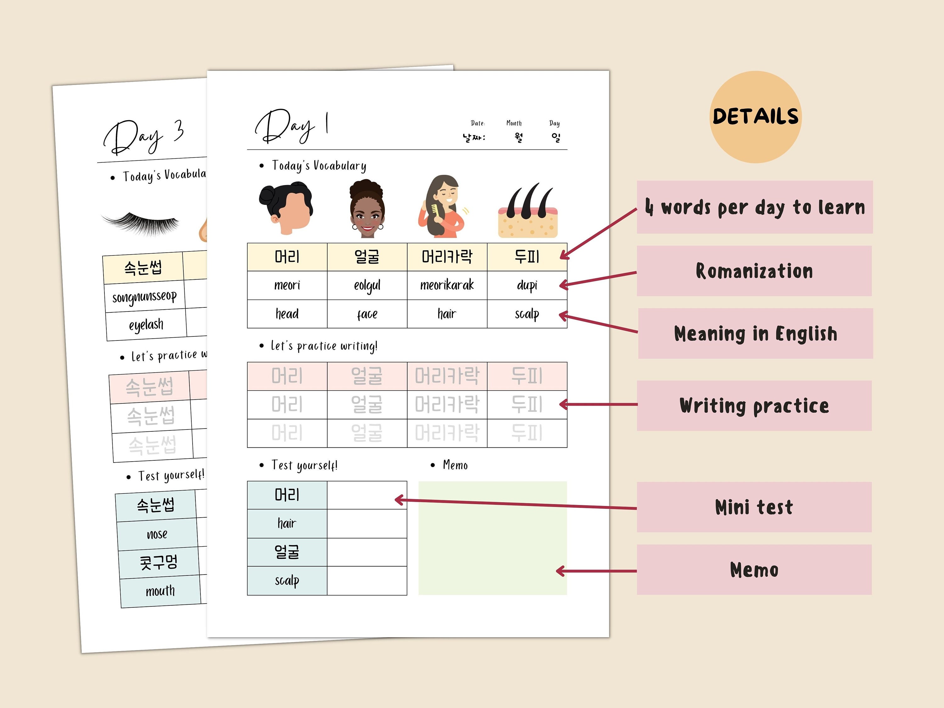 Learning Korean Vocabulary Worksheet Human Body Parts Korean - Etsy