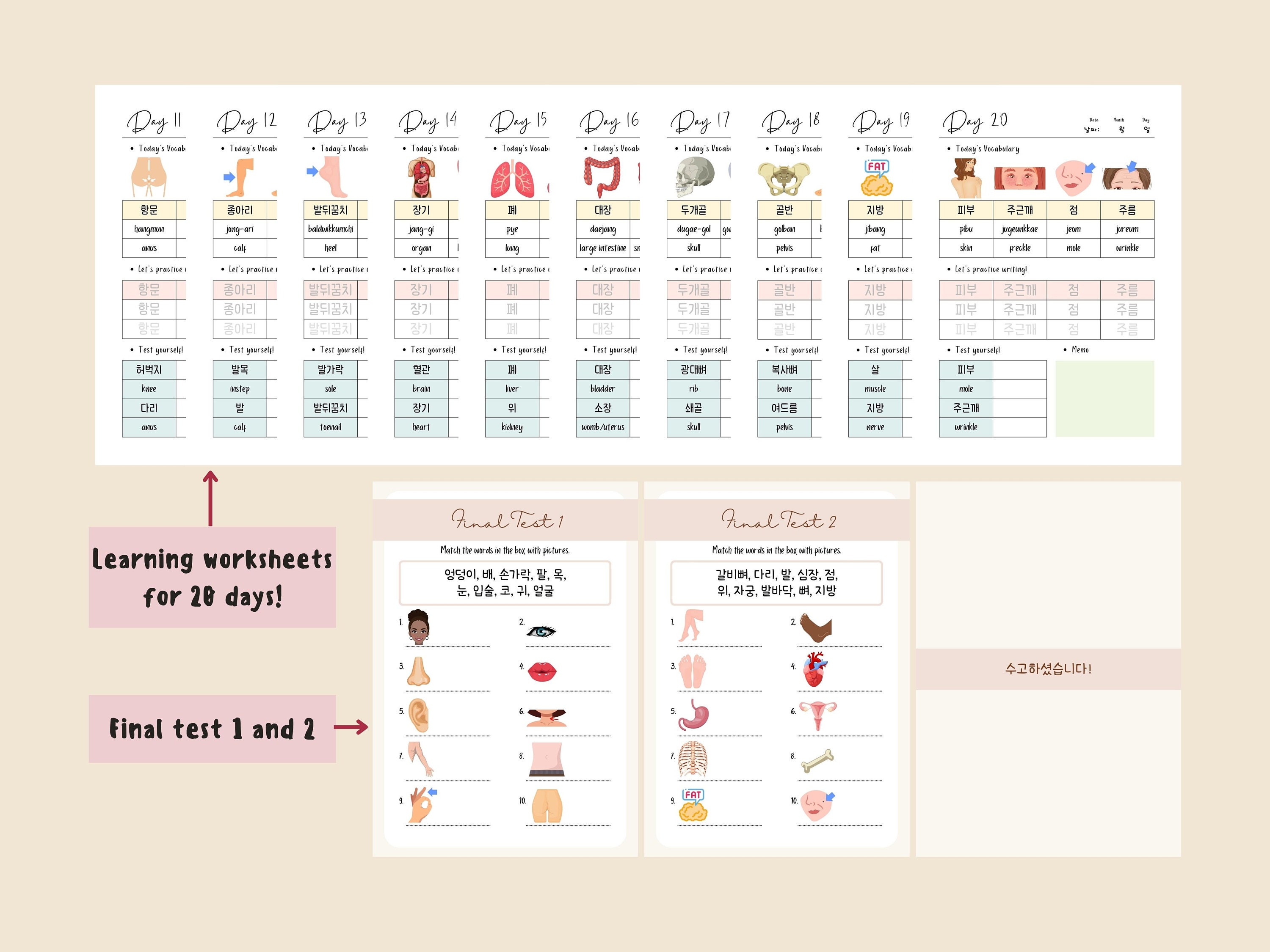 Learning Korean Vocabulary Worksheet Human Body Parts Korean - Etsy
