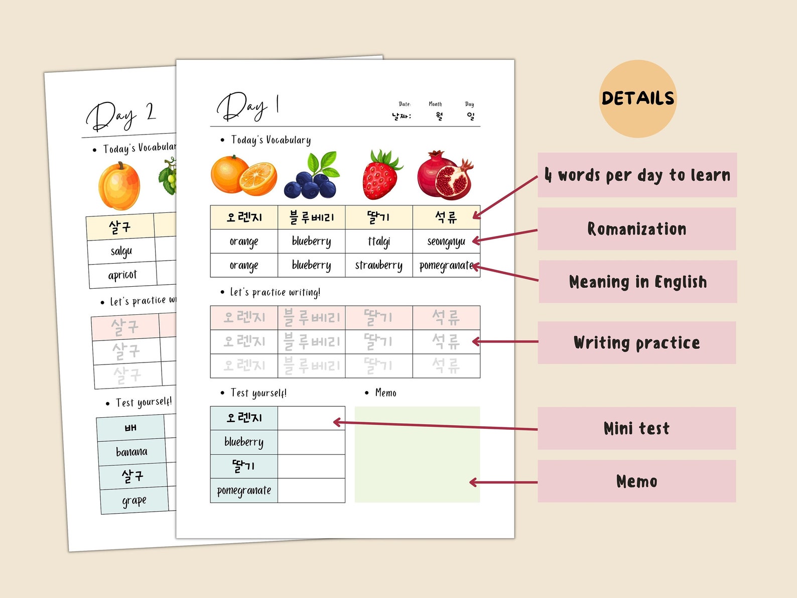 Learning Korean Vocabulary Worksheet Korean Learn Challenge - Etsy