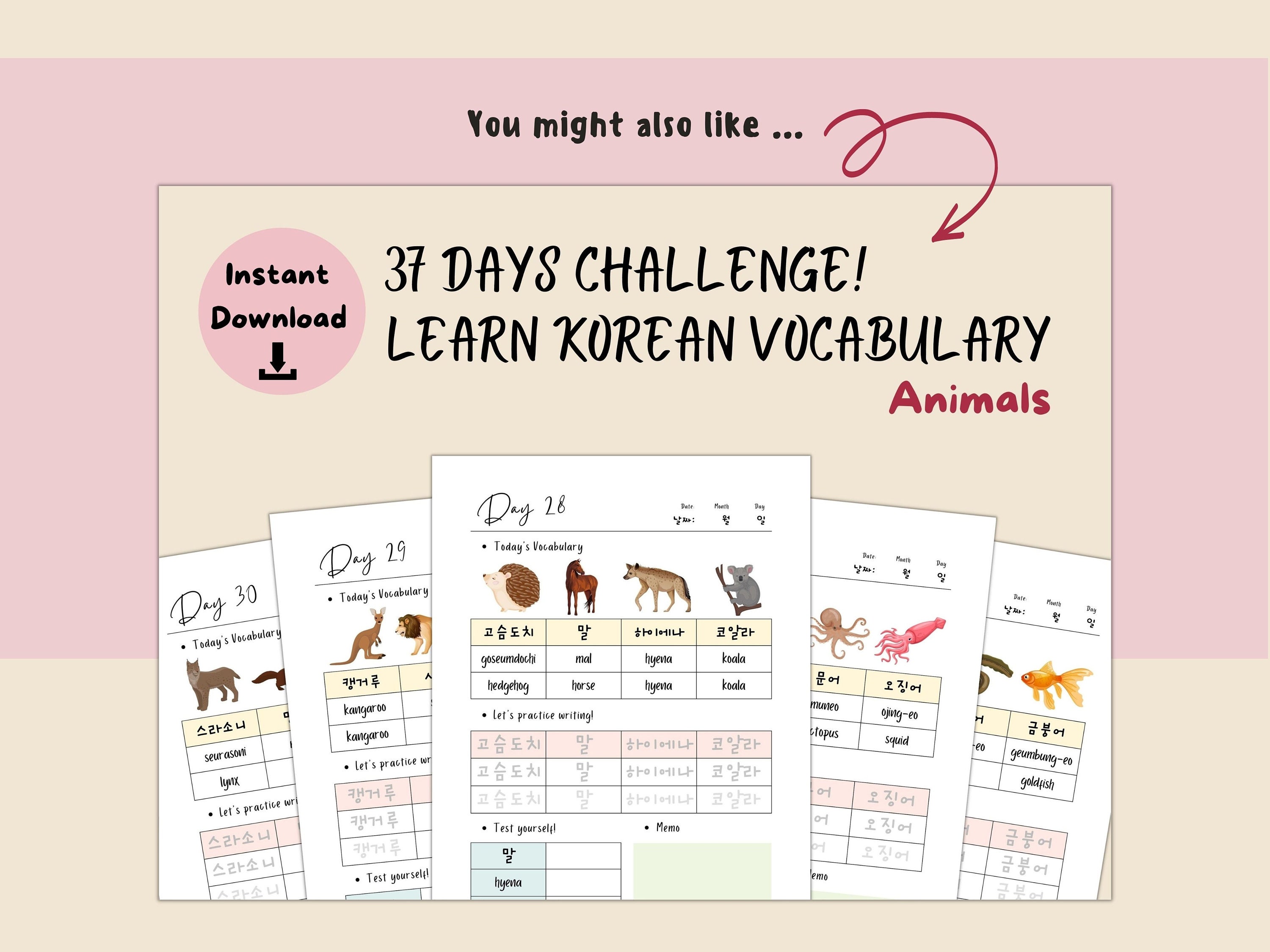 Korean English Flashcard, Digital Download, Hangul Learning Cards, Korean Vocabulary Cards ...