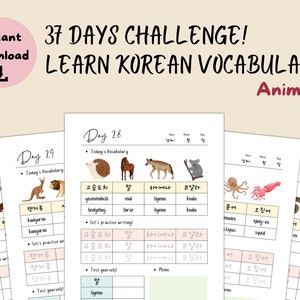 Learning Korean Vocabulary, Korean Worksheet Download, Korean Learn ...