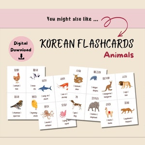 Korean English Flashcards Learning Korean Basic Vocabulary - Etsy