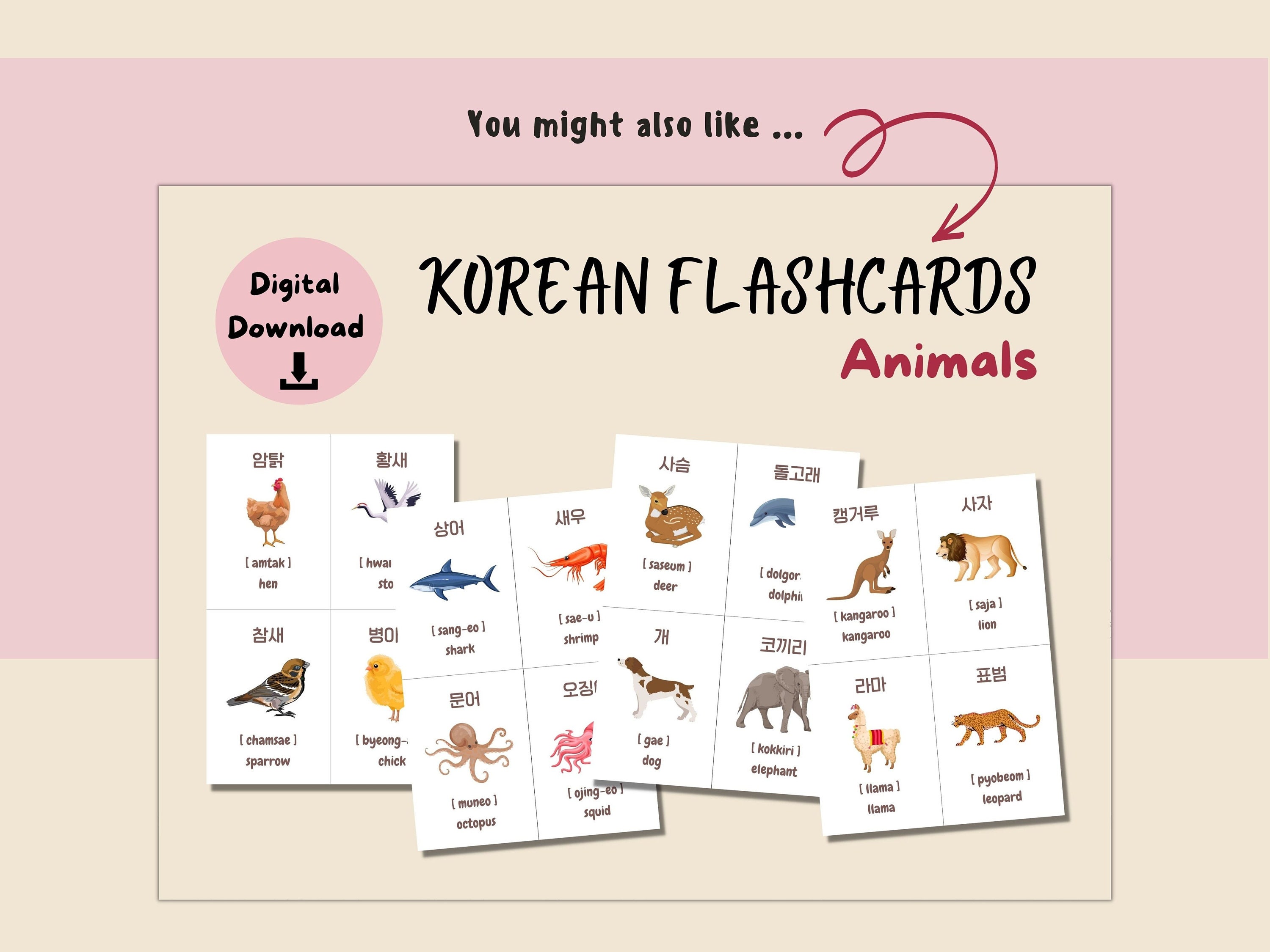 Korean English Flashcards Learning Korean Basic Vocabulary - Etsy