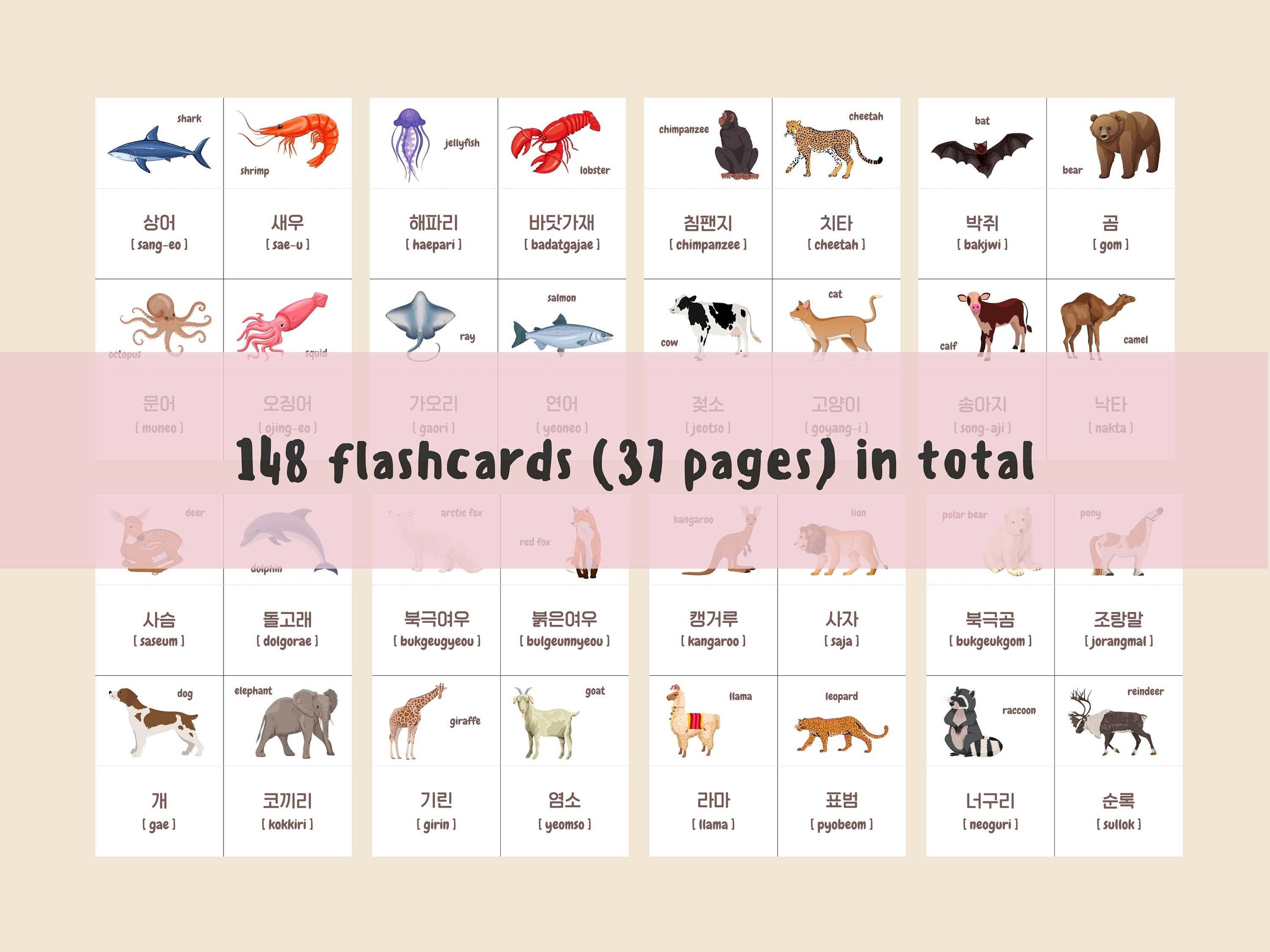Korean Flashcards, Learning Korean, Basic Vocabulary, Animal Word Cards ...
