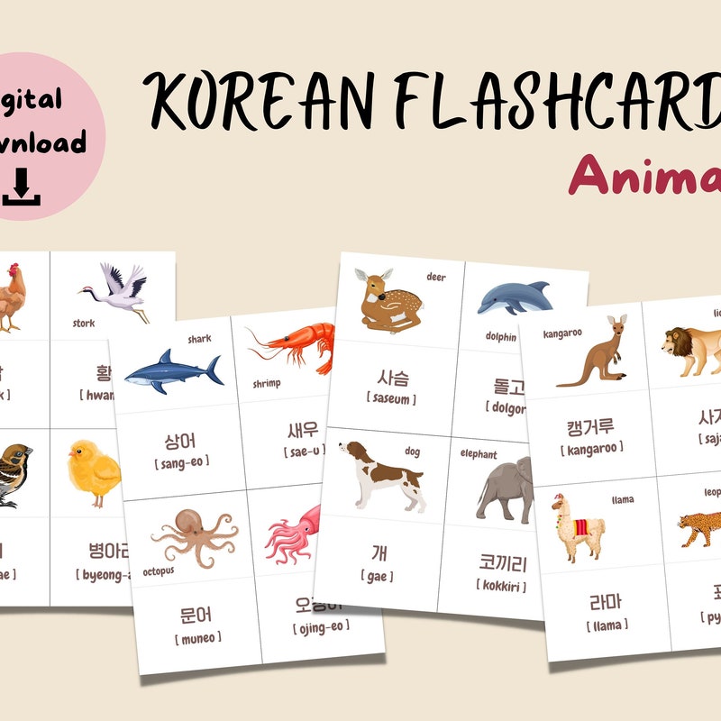 Korean Flashcards - Etsy