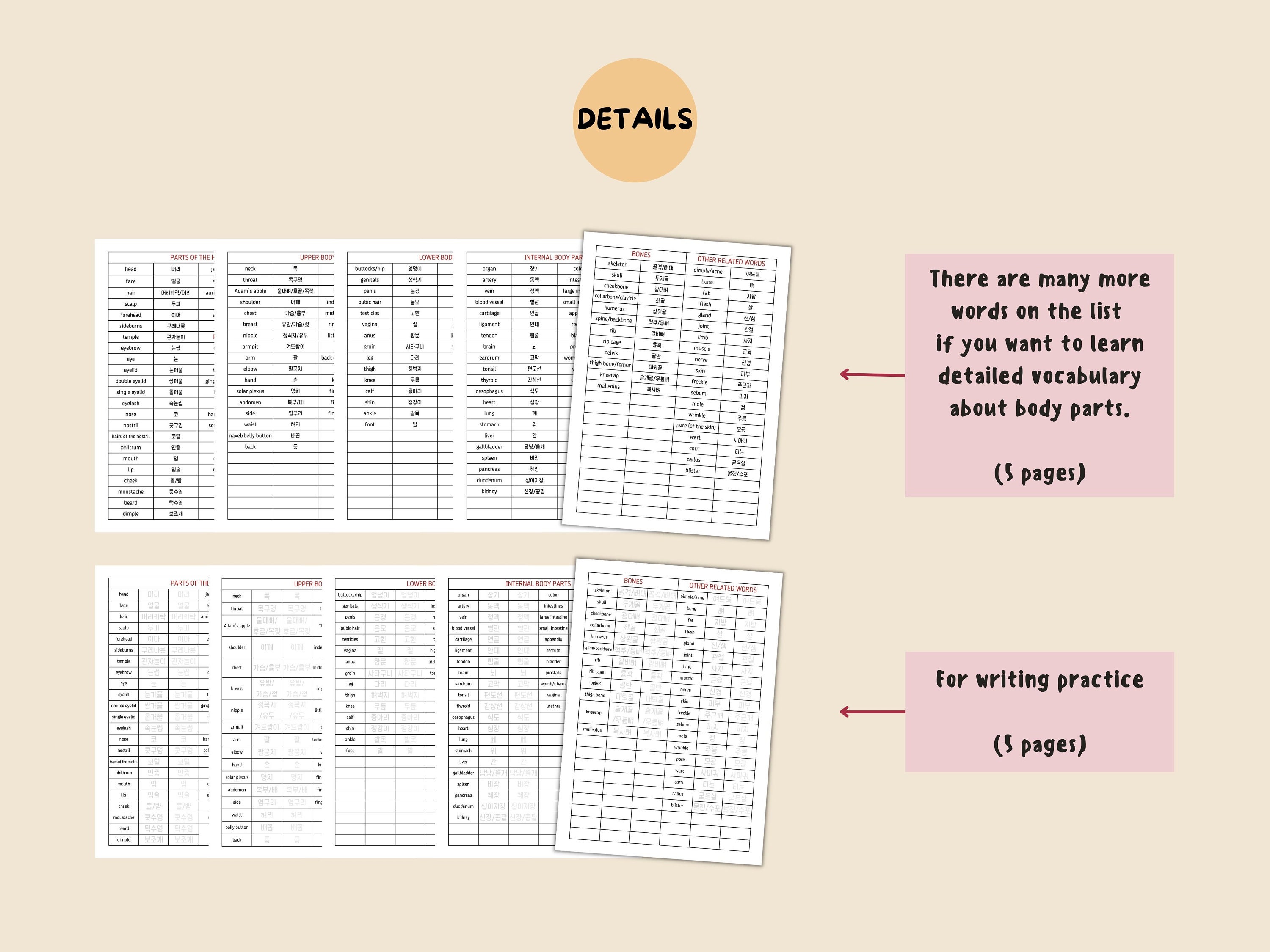 Korean Flashcards, Learning Korean Vocabulary, Human Body Parts, Basic ...