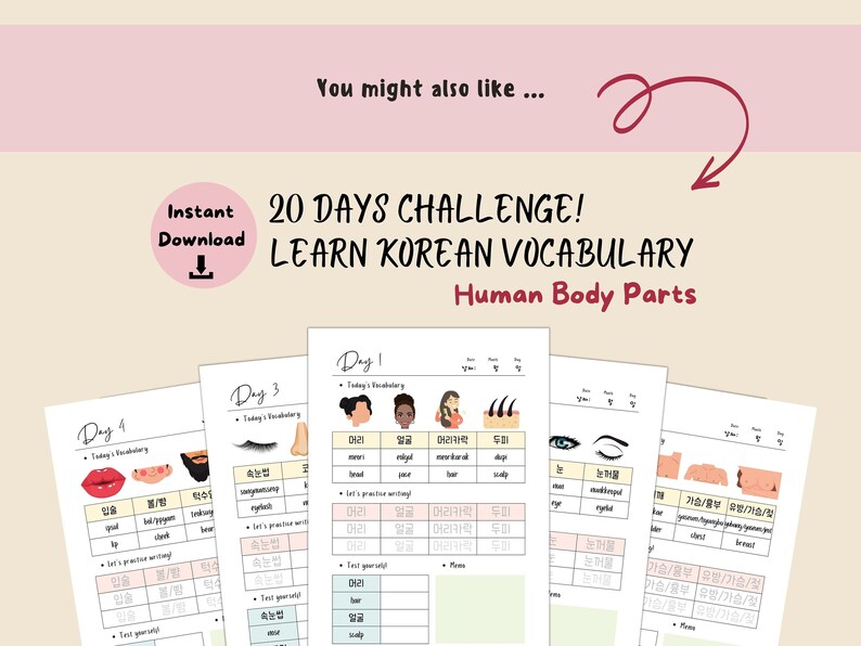 Korean Flashcards, Learning Korean Vocabulary, Human Body Parts, Basic ...