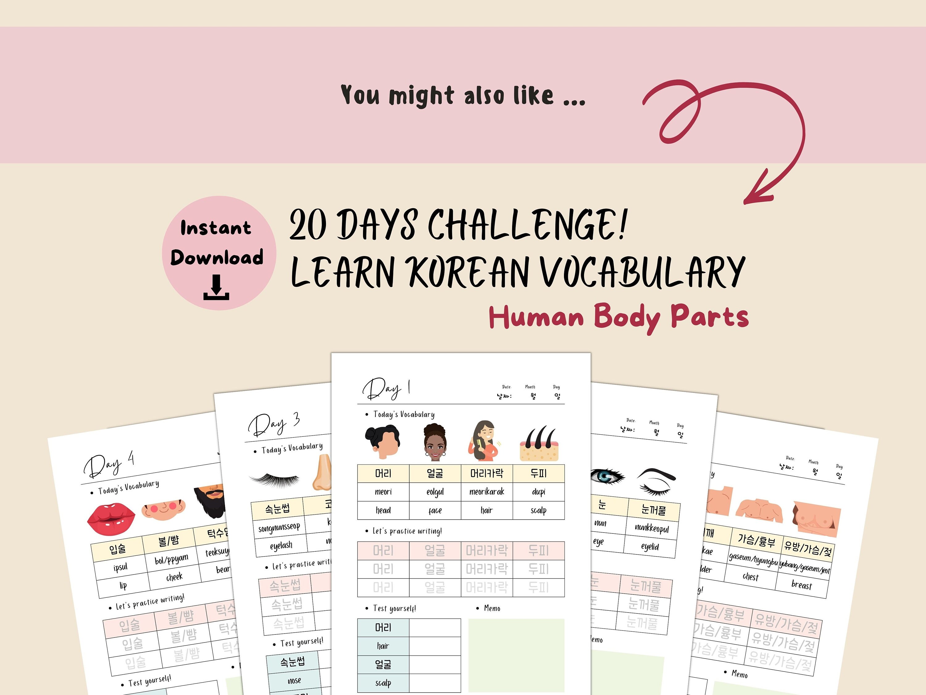 Korean Flashcards, Learning Korean Vocabulary, Human Body Parts, Basic ...