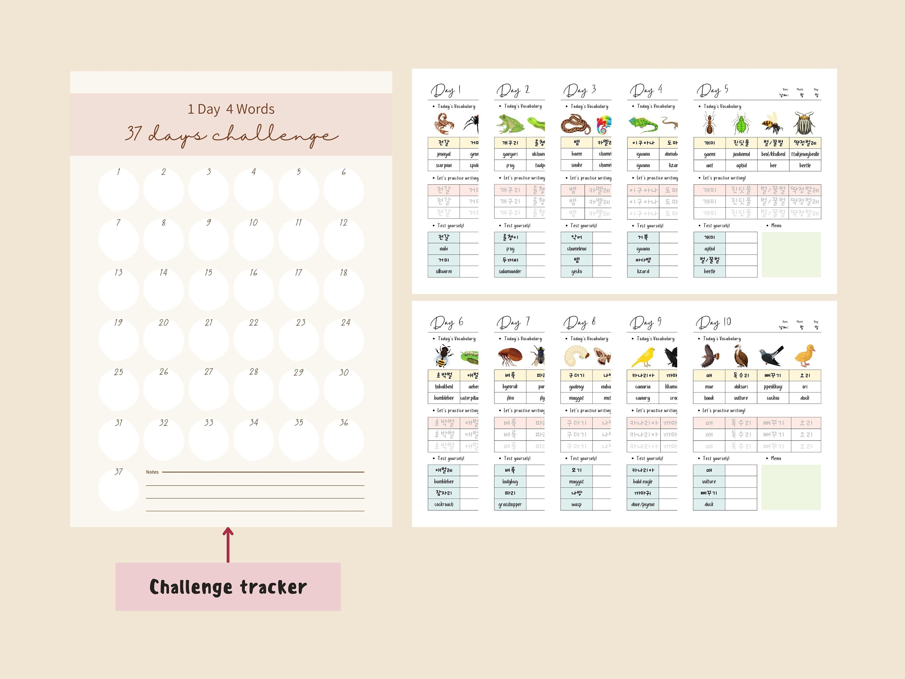 Learning Korean Vocabulary, Korean Worksheet Download, Korean Learn ...