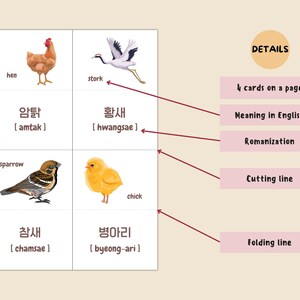 Korean Flashcards, Learning Korean, Basic Vocabulary, Animal Word Cards ...
