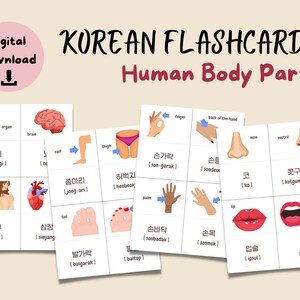 Korean Flashcards, Learning Korean Vocabulary, Human Body Parts, Basic ...