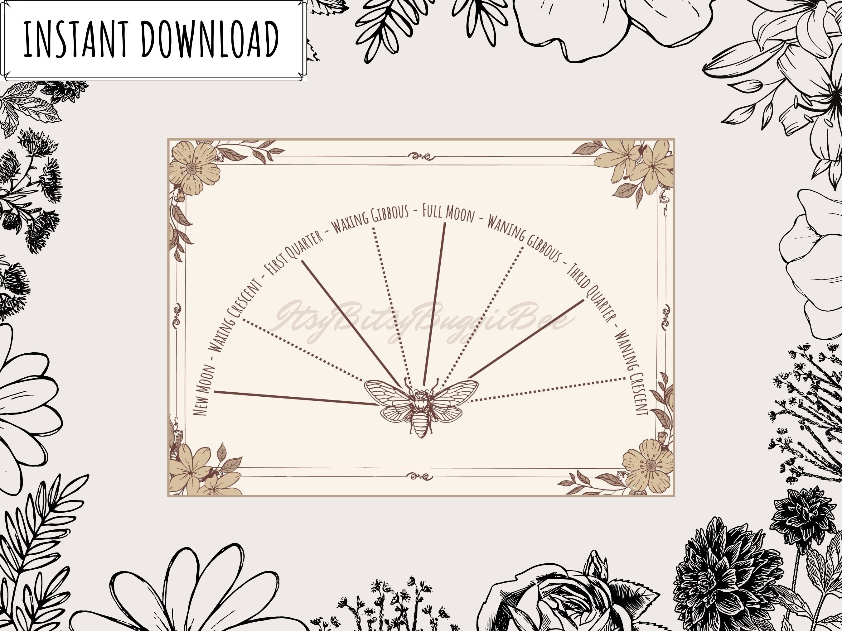 Printable Astrology Pendulum Boards Digital Download - Etsy