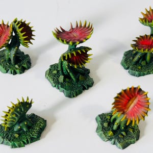 Carnivorous Plants | Venus Fly Trap | Hand Painted Terrain Miniature ...