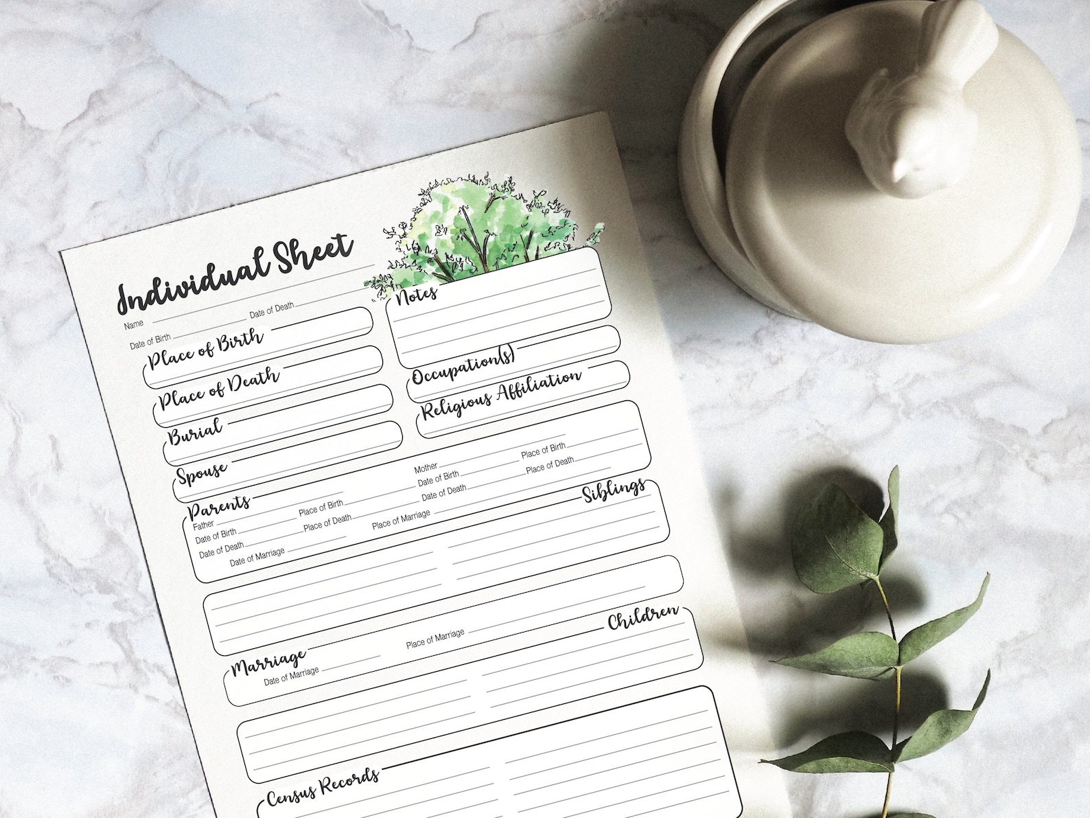 Individual Genealogy Worksheet | US Letter Size | Fillable PDF ...