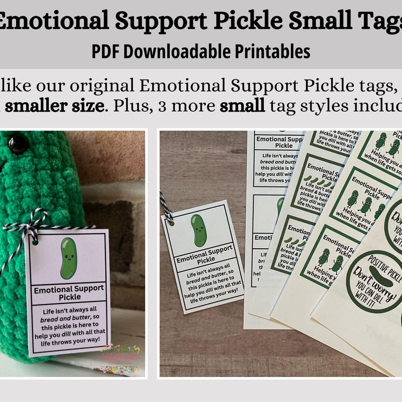 Emotional Support Pickle - Etsy