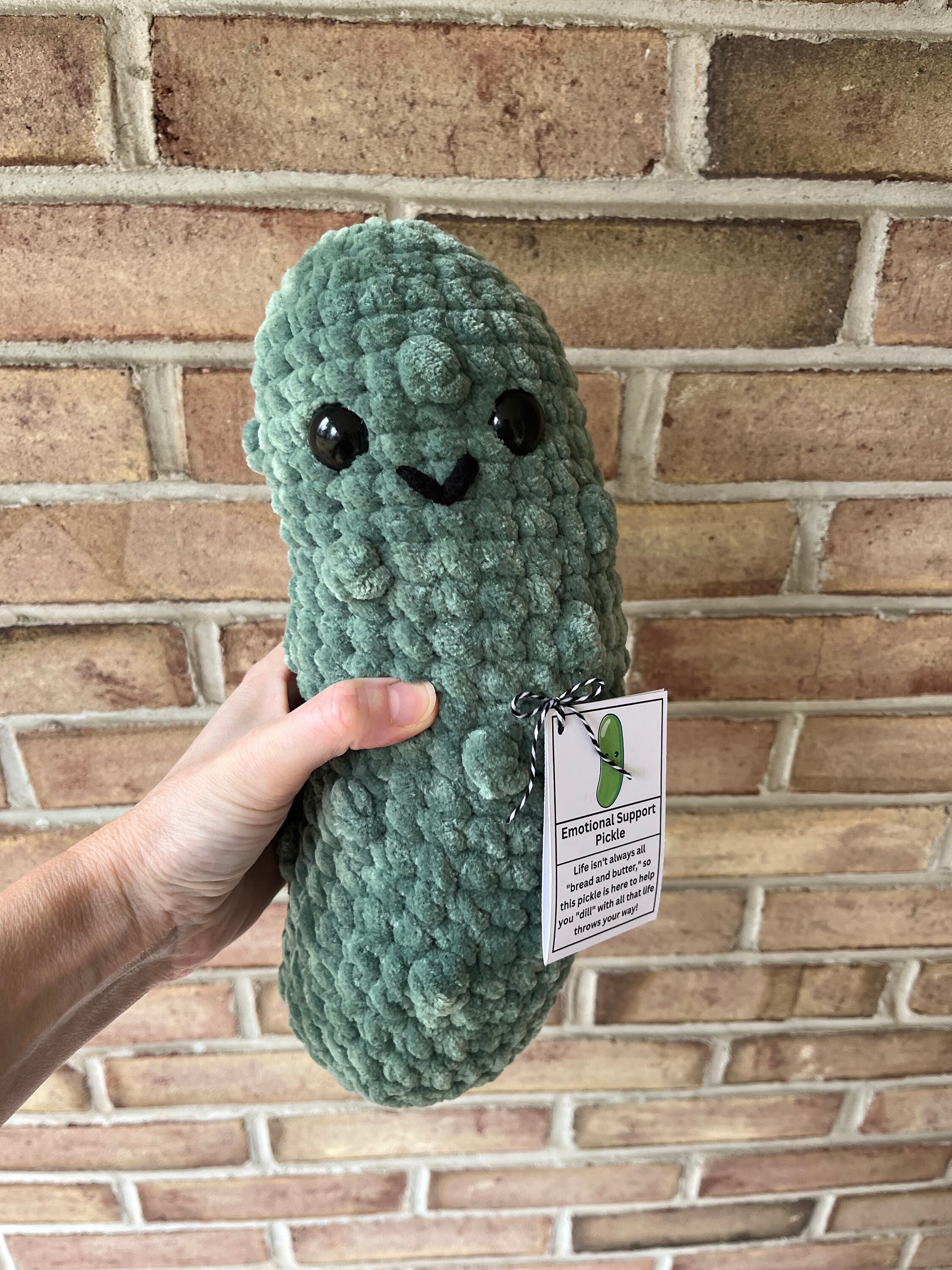 Chunky Emotional Support Pickle, Crocheted Pickle Plush, Gift for ...