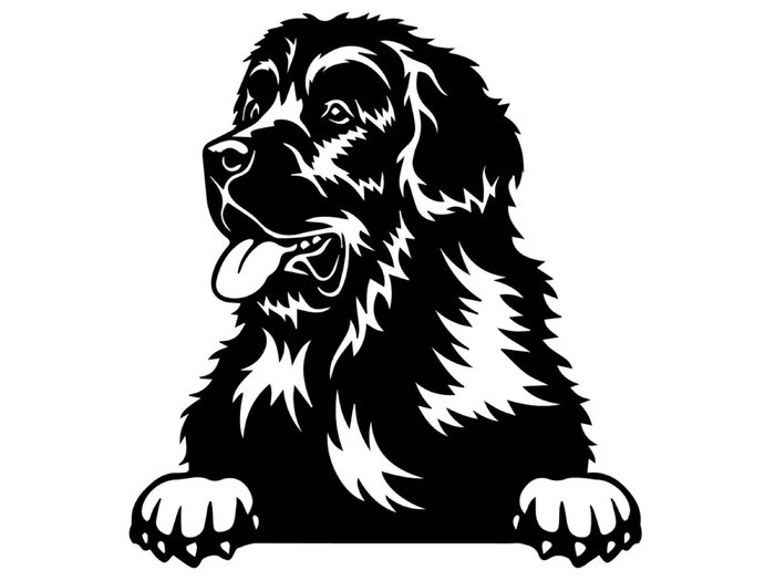 Newfie Dog - Etsy