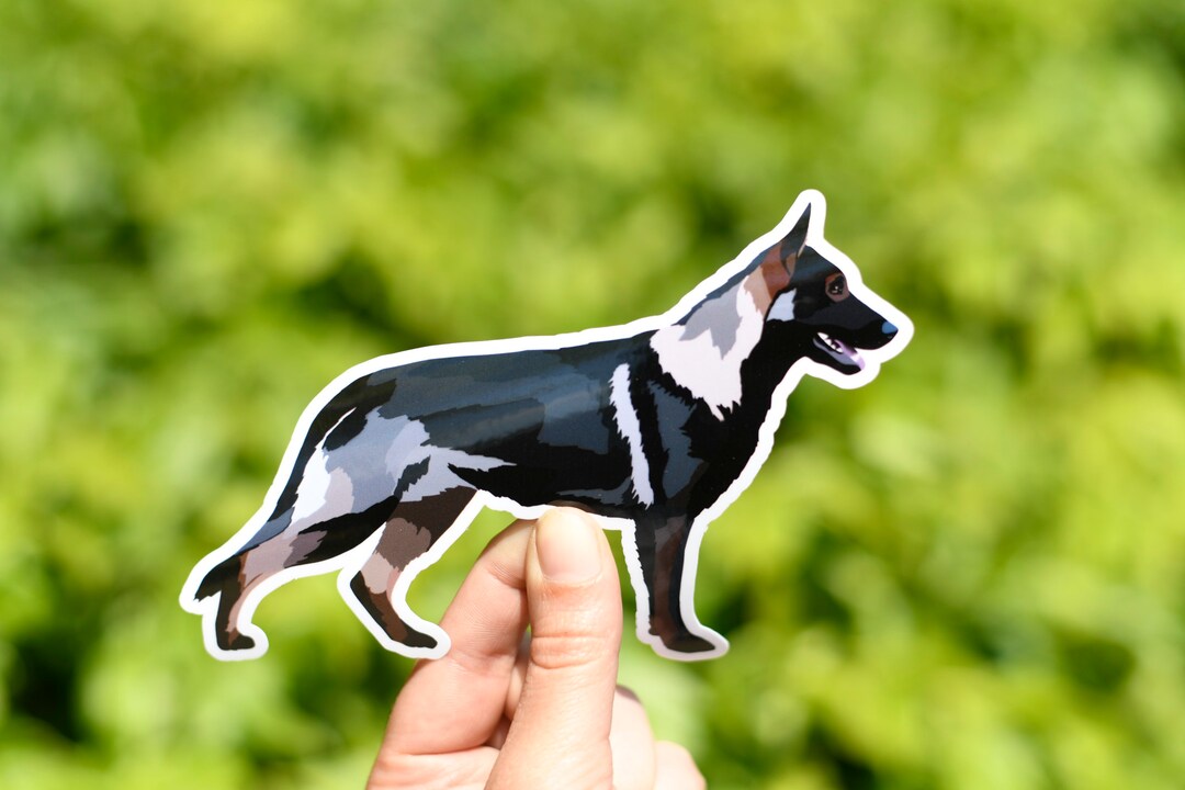 Dark Sable Working Line German Shepherd Stack Water Resistant - Etsy