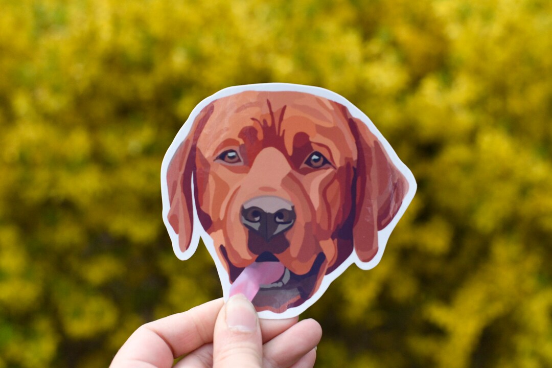 Fox Red Lab Sticker Water Resistant - Etsy