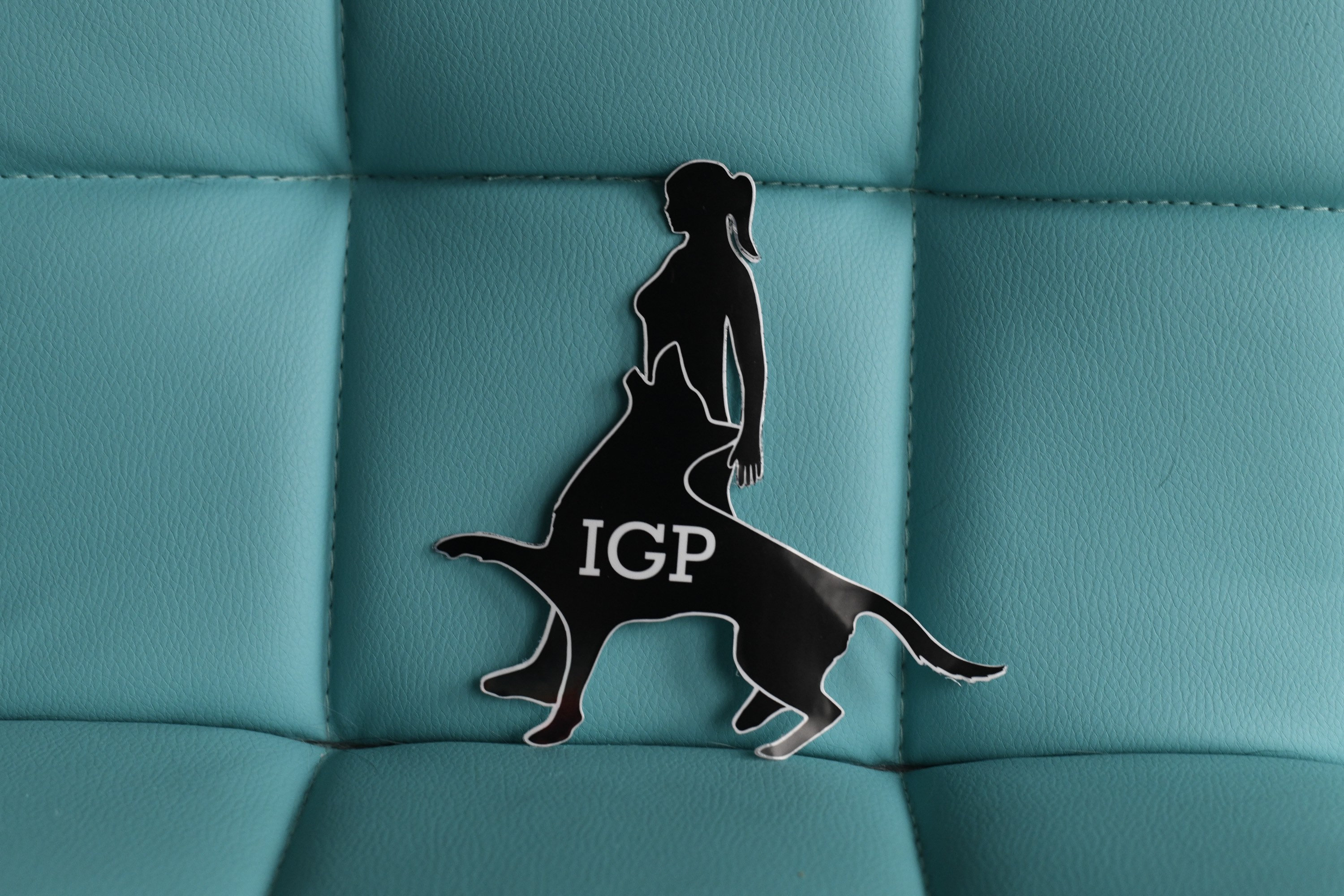 IGP/PSA Woman and Dog Silhouette Sticker Water Resistant - Etsy