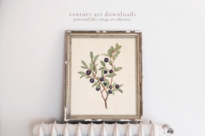 Vintage Printable Art Download | Berry Branch Watercolor | 19th Century ...