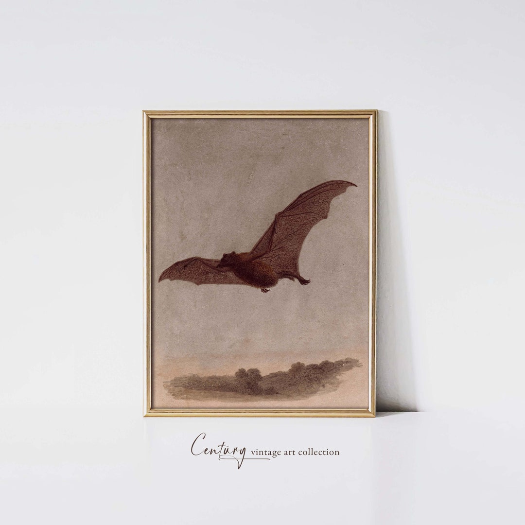 Flying Bat Illustration | Vintage Printable Art Download | 19th Century ...