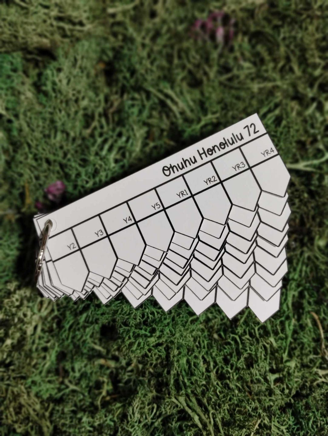 PDF Honolulu 72 Ohuhu Color Swatch Kit, PDF Printable , Colored Pencil ...