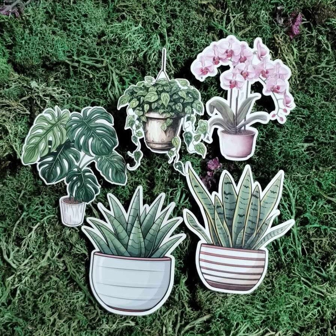 House Plant Lover Sticker Set Aloe, Snake Plant, Swiss Cheese Plant ...