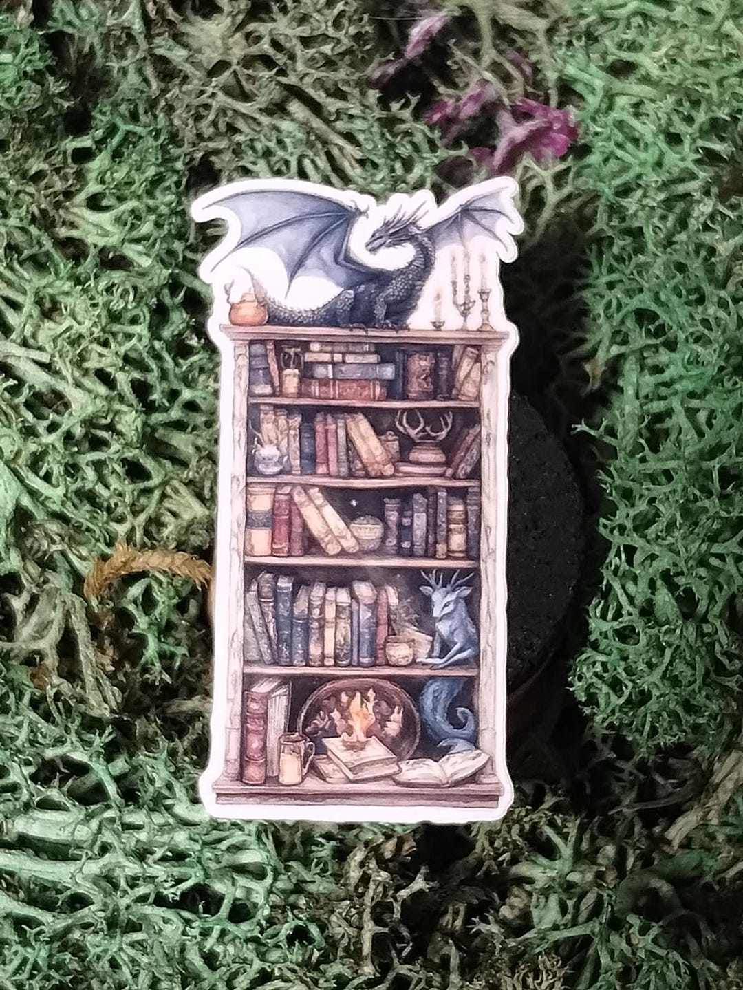 Bookcase & Dragons Sticker | Fantasy Bookshelf | Bookworm | Book Shelf ...