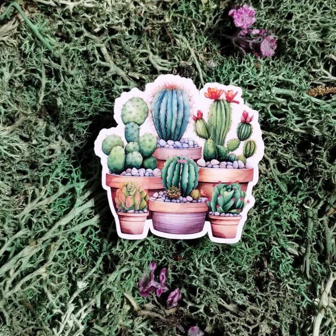 Cactus Collection Sticker | Vinyl Sticker | Tumbler | Water Bottle ...