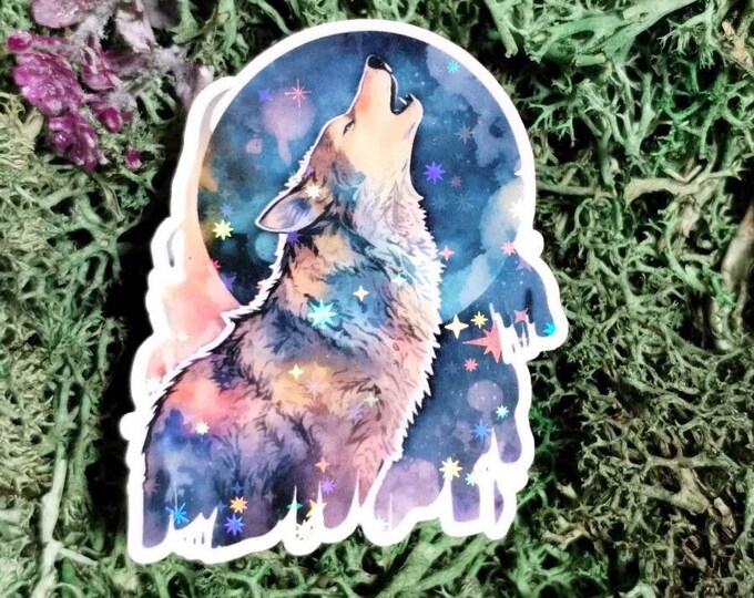 Holographic Stickers 2 Chasers of the Stars Galaxy Constellation Cosmic ...