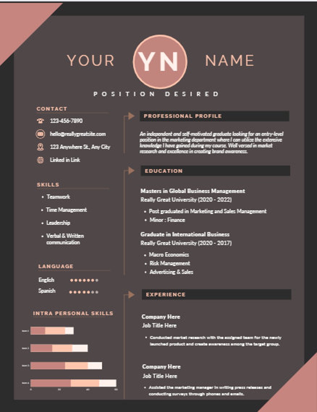 Modern Pink Resusable Resume Template - Etsy