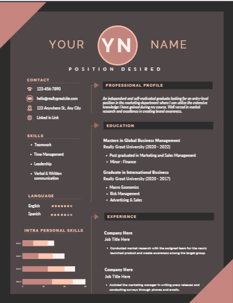 Modern Pink Resusable Resume Template - Etsy