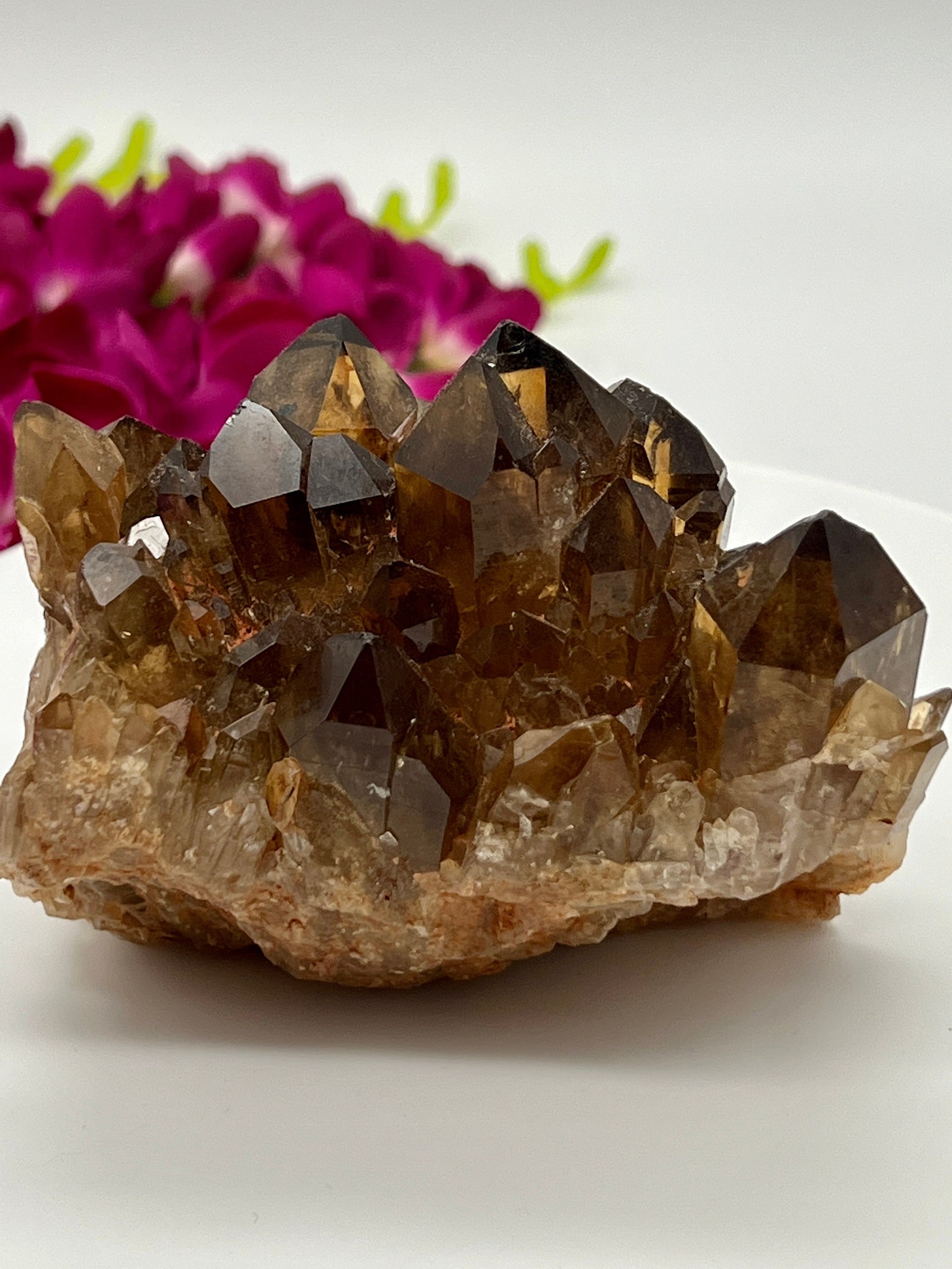 Large Kundalini Congo Citrine Cluster Natural Citrine - Etsy