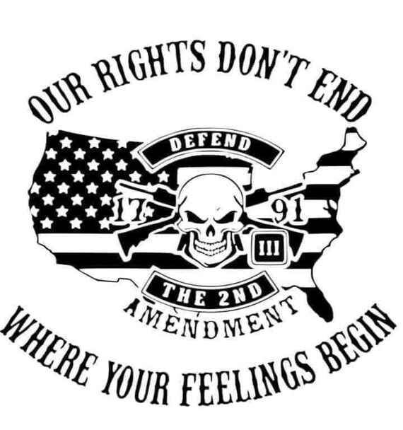 2nd Amendment Car Decal - Etsy