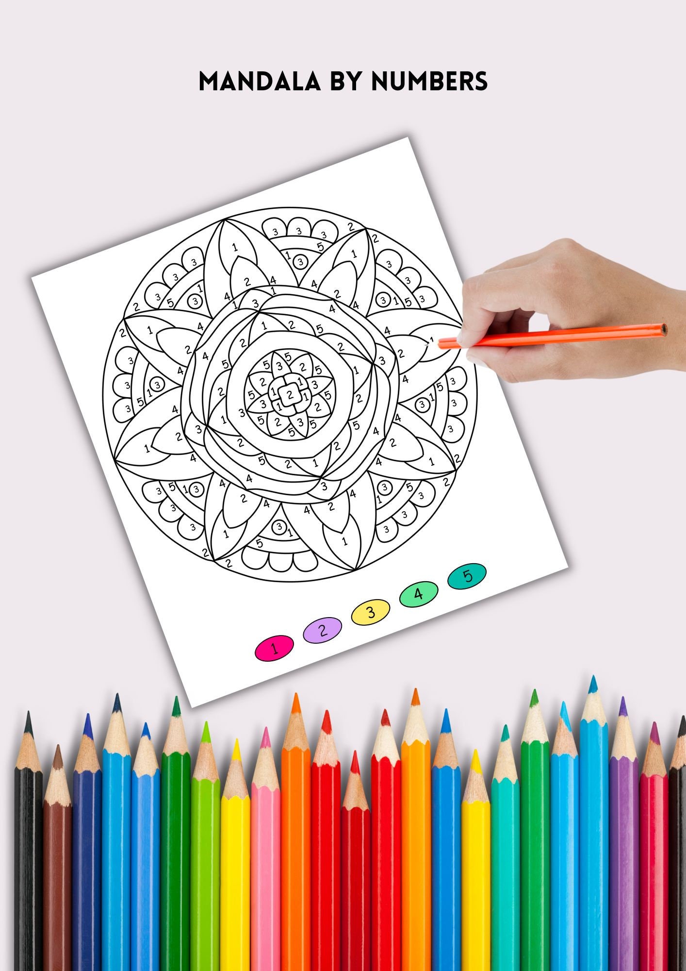 Mandala by Numbers Coloring Pages: Mindful Mandala (PDF Pattern) - Etsy