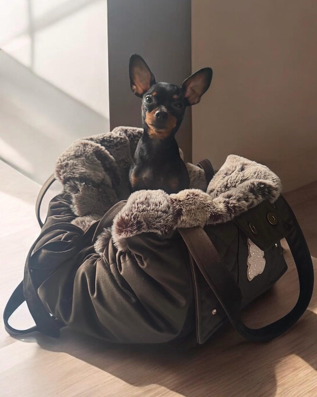 Luxury Dog Carrier Dark Brown Velvet. A Very Soft Fur Dog Bag and ...