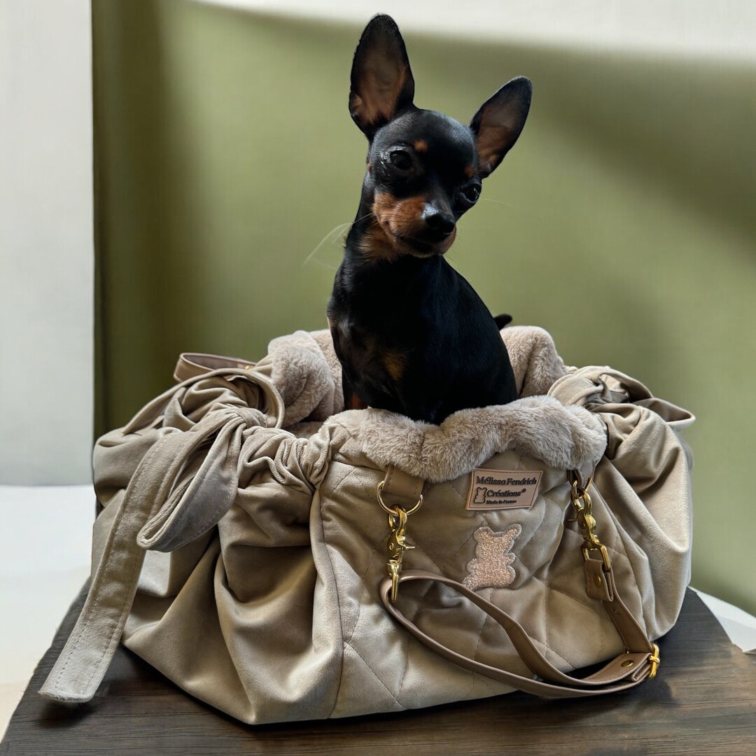 Luxury Dog Carrier Beige Velvet. A Designer Dog Bag for You and Your ...