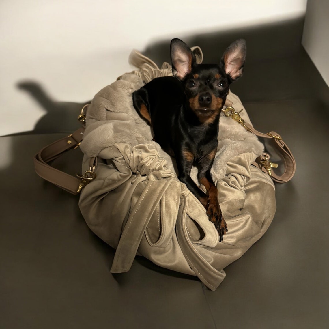 Luxury Dog Carrier Beige Velvet. A Designer Dog Bag for You and Your ...