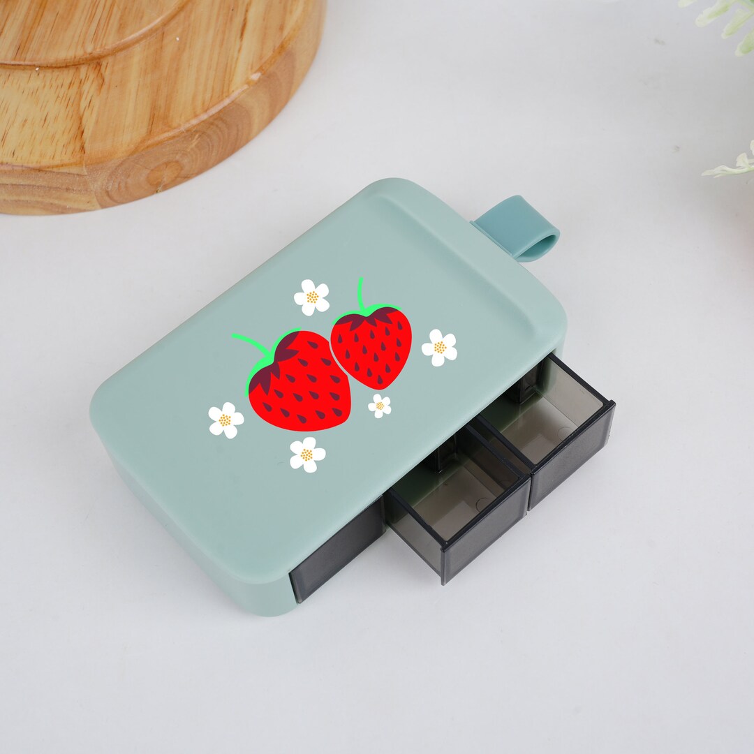 Cartoon Strawberry Pill Box Holder,strawberry With Flower Pill Medicine ...