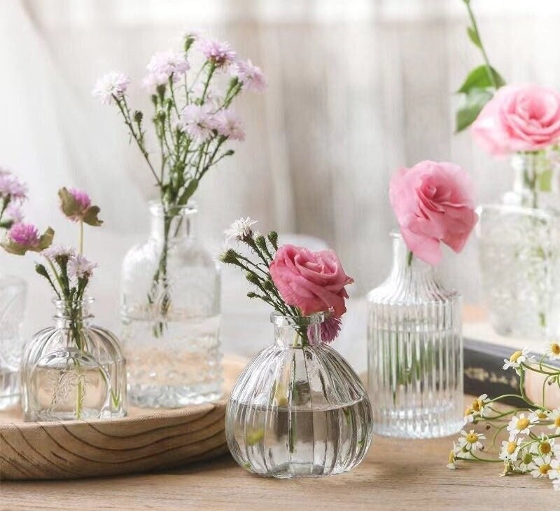 French Luxury Small Glass Vase Ins Hydroponic Flower Vase - Etsy Australia