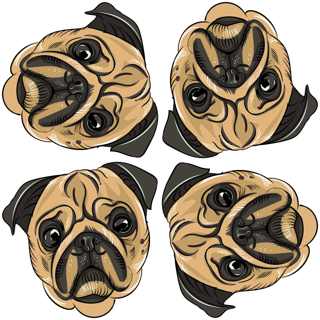 Pug Dog Cute Face Fawn - Instant Download SVG PNG Digital Wall Art ...