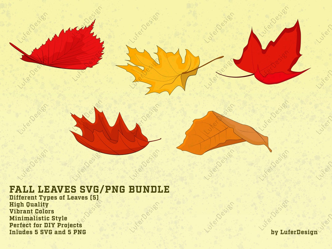 Fall Leaves Bundle Svg/png Design for Fall, Thanksgiving , Fall Leaf ...