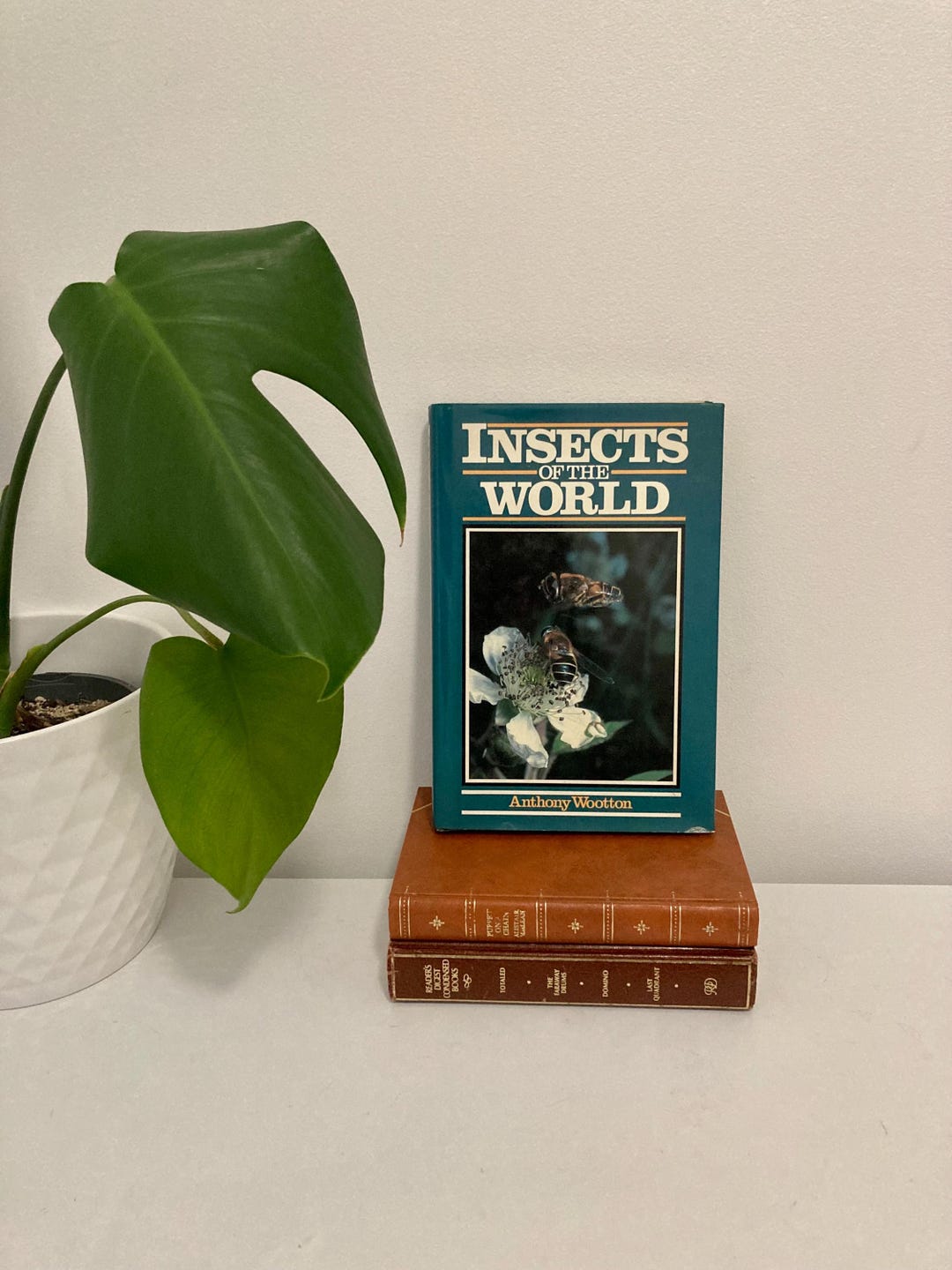 Vintage 1984 insects of the World Book by Anthony Wootton Reference ...