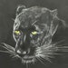 Original Soft Pastel Painting Black Panther, 21 X 30 Cm / 8.27” X 11.81 ...