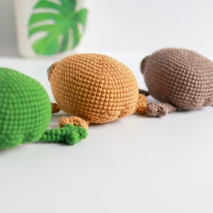 Toon Desert Rain Frog Crochet Pattern PDF – Cute Amigurumi Frog Plush ...