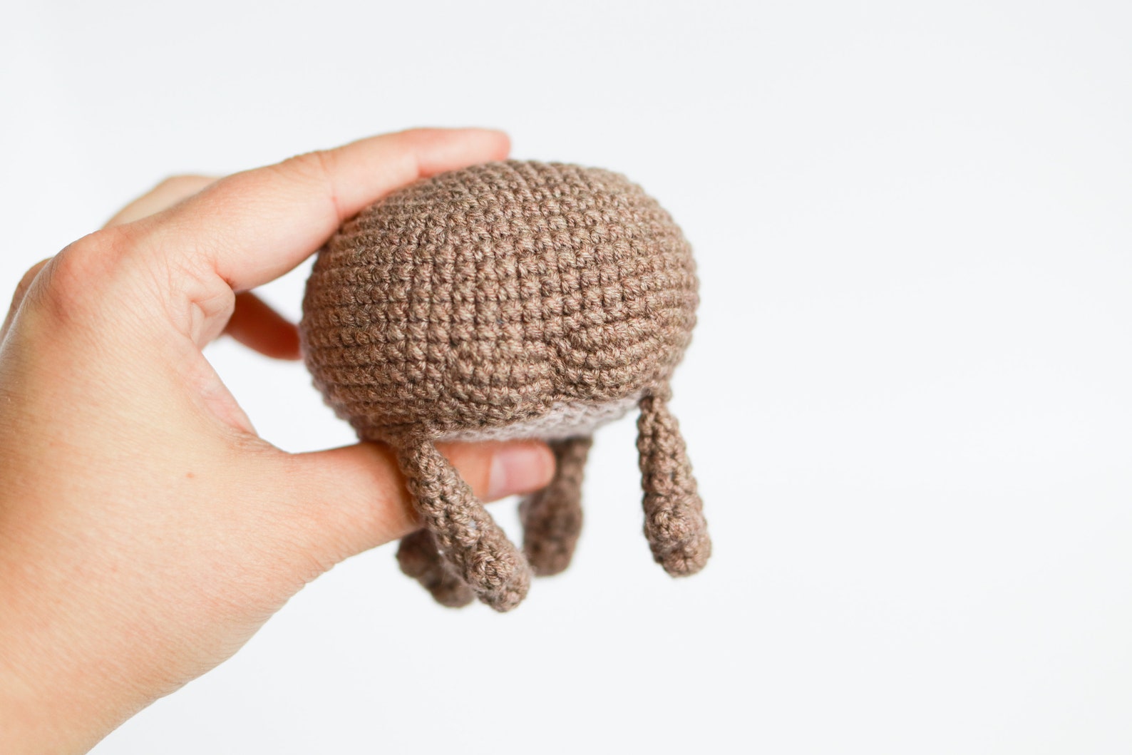 Toon Desert Rain Frog Crochet Pattern PDF – Cute Amigurumi Frog Plush ...