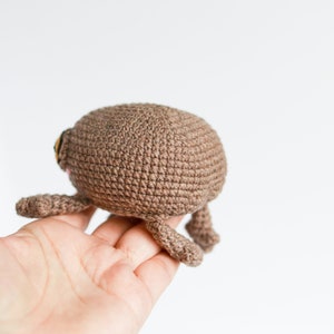 Toon Desert Rain Frog Crochet Pattern PDF – Cute Amigurumi Frog Plush ...
