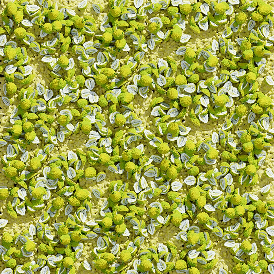 Yemenite-citron Background High-res PNG 3D Low-poly 4k Background ...