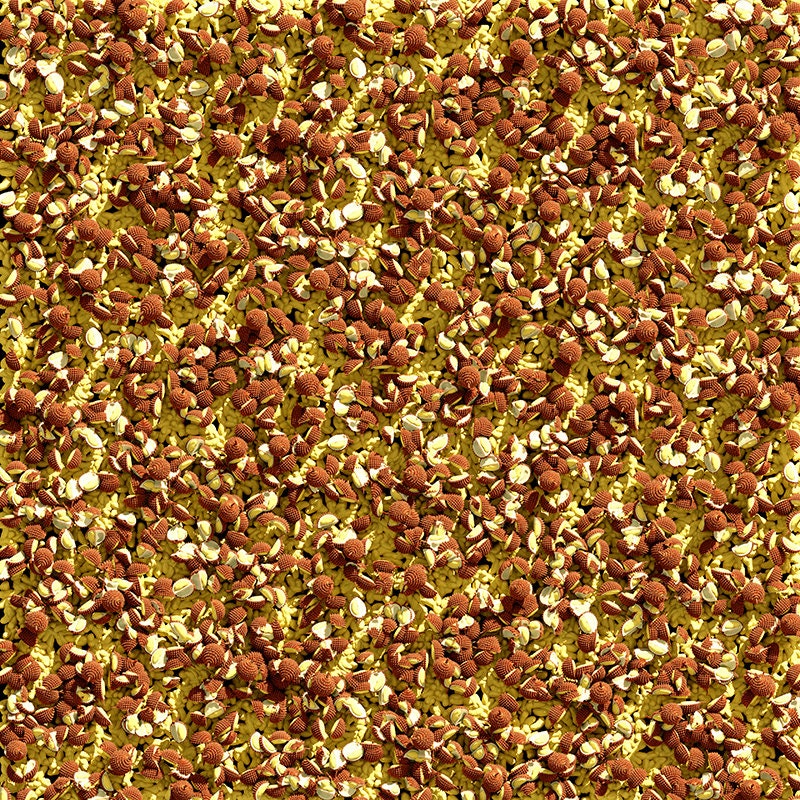 Xylocarp Background High-res PNG 3D Low-poly 4k Background Instant ...